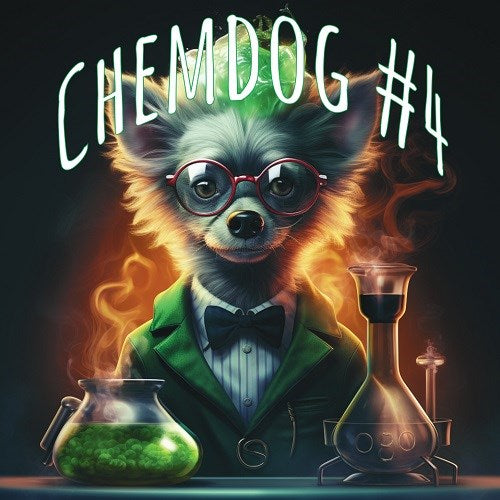 Chemdawg #4 Strain Feminized Marijuana Seeds- Tasty Terp Seeds